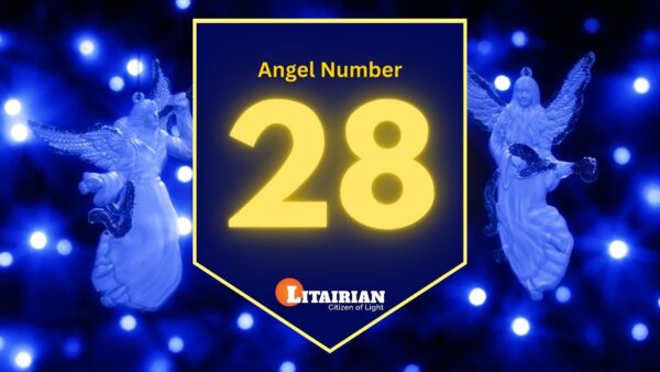 Realigning Your Life with Destiny Through Angel Number 0011 – Angel Number
