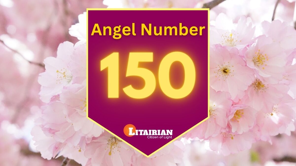 Angel Number 2444 Embrace Balance, Stability, and Divine Encouragement ...
