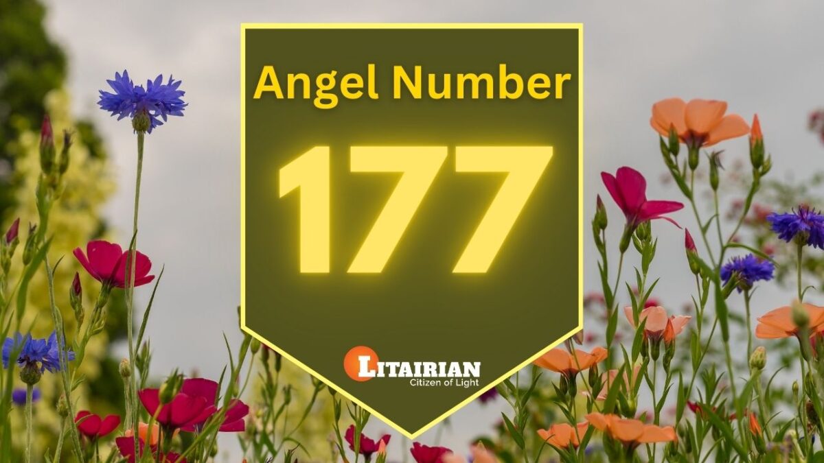 Angel Number 2232 Meaning Keep Going, Stay Inspired – Angel Number