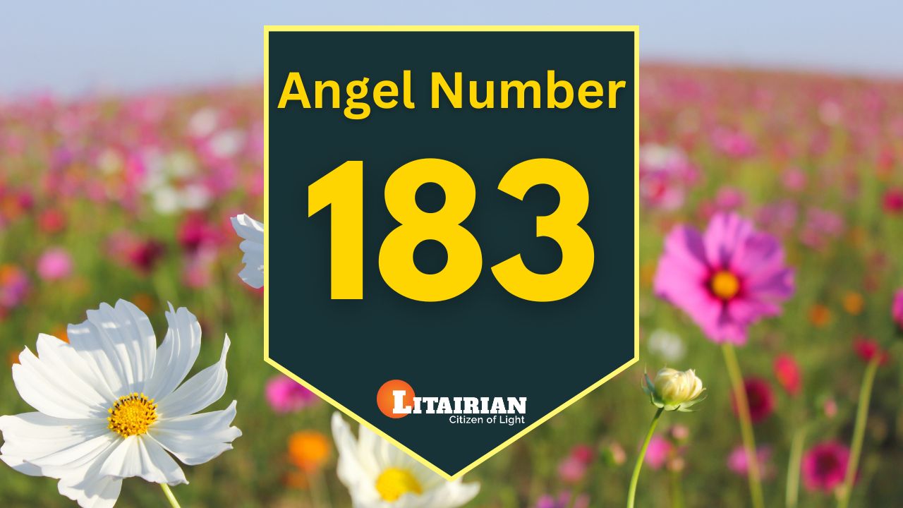 Angel Number 183 Meaning And Significance Angel Number 183 Meaning And Significance