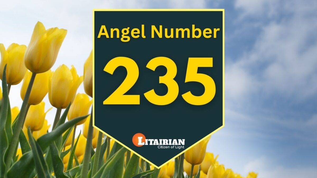 Angel Number 5444 Meaning A Message of Stability, Growth, and Spiritual ...