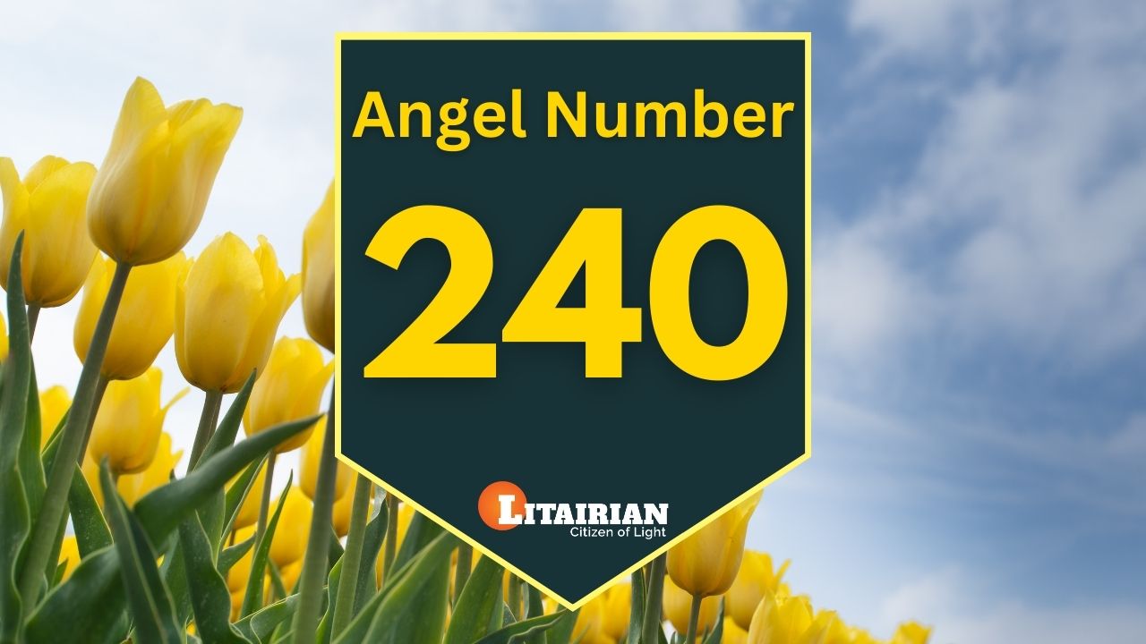 Angel Number 240 Meaning And Significance Angel Number 240 Meaning And Significance