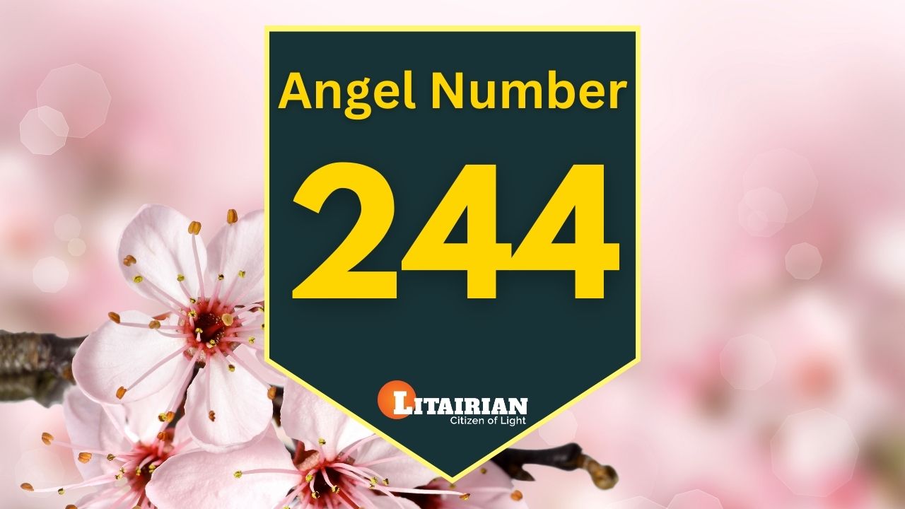 Angel Number 244 Meaning And Significance Angel Number 244 Meaning And Significance