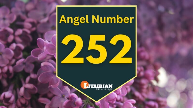 Angel Number 8555 A Message of Success, Transformation, and Love ...