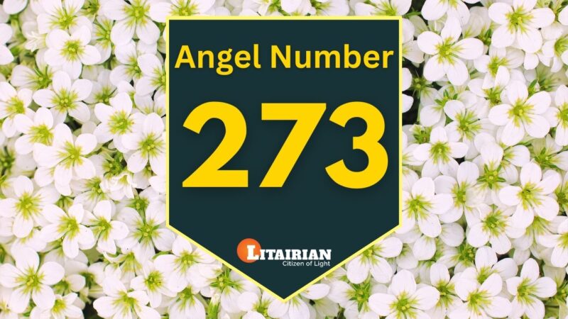 Angel Number 3233 Meaning A Call to Put Your Life Together – Angel Number