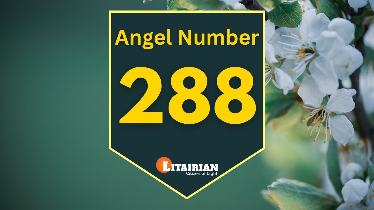 Angel Number 288 Meaning And Significance