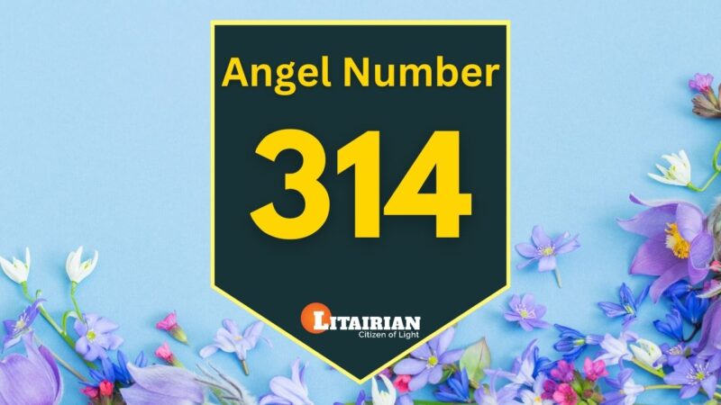 Angel Number 8989 The Ascended Masters – Angel Number