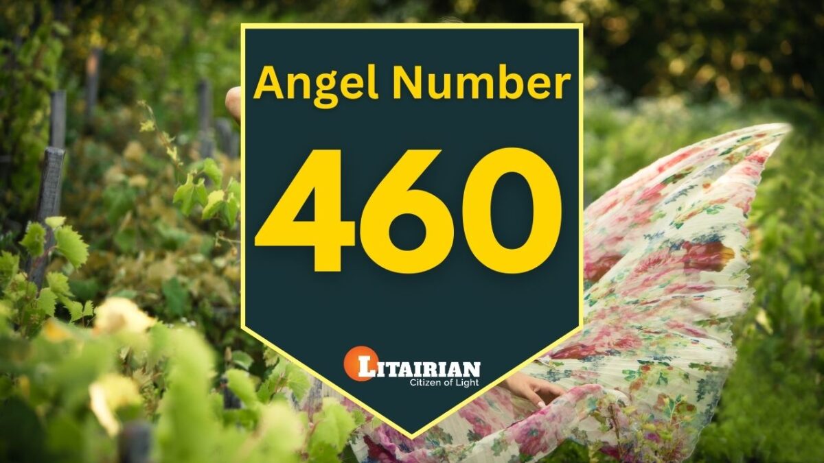Angel Number 7788 Meaning A Divine Message of Transformation, Abundance ...