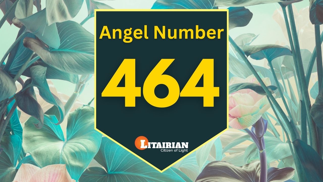 Stay Calm And Take Action The Power Of Angel Number 464 Angel Number