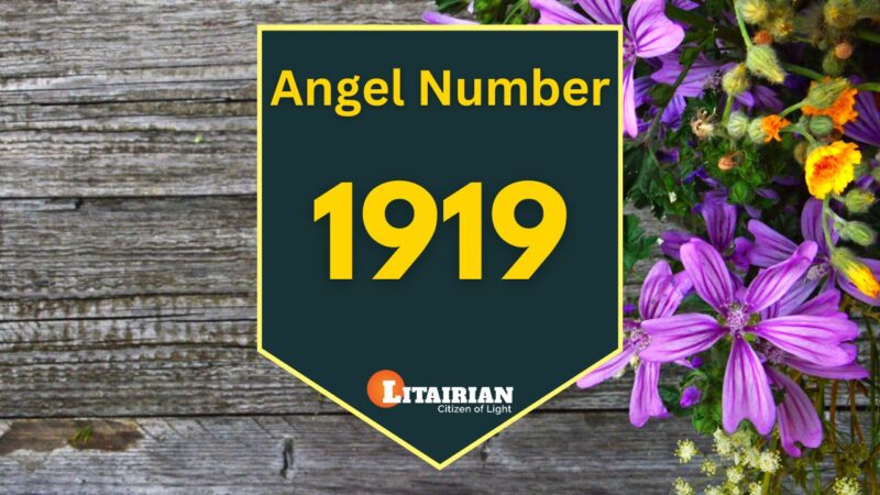 Inspiring Yourself to Victory with Angel Number 7667 – Angel Number