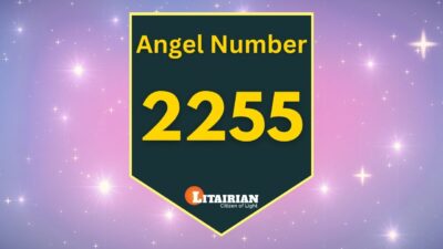Angel Number 0220 Meaning Cooperation, Discipline, and Resilience ...