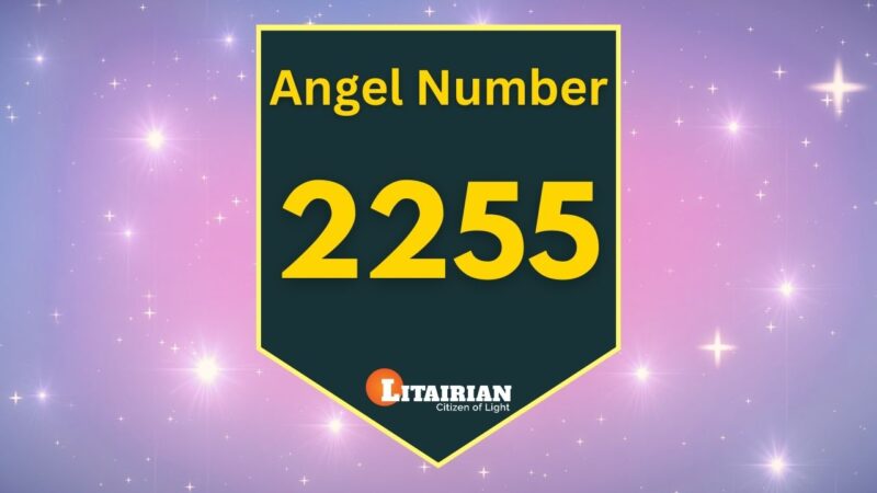 Angel Number 0220 Meaning Cooperation, Discipline, and Resilience ...