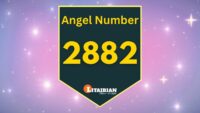 Angel Number 0044 A Divine Message of Hard Work, Diligence, and Support ...