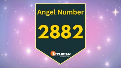 Angel Number 0044 A Divine Message of Hard Work, Diligence, and Support ...