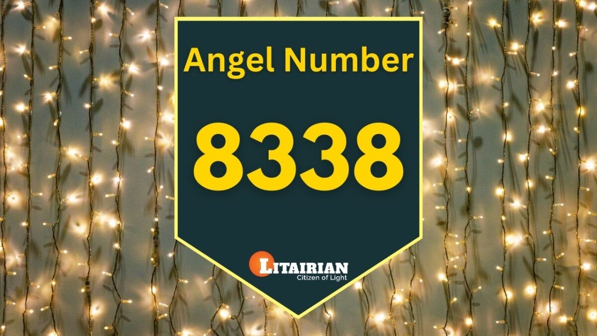 Angel Number 0505 Embrace Change, Freedom, and Divine Guidance – Angel ...