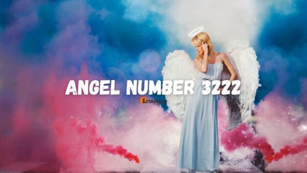 Angel Number 4446 A Symbol of Spiritual Balance, Intuition, and Inner ...