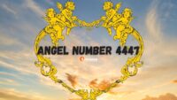 Angel Number 2444 Embrace Balance, Stability, and Divine Encouragement ...