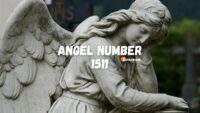 Angel Number 0022 Embracing the Best in Others and Yourself – Angel Number