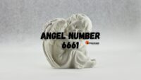 Inspiring Yourself to Victory with Angel Number 7667 – Angel Number