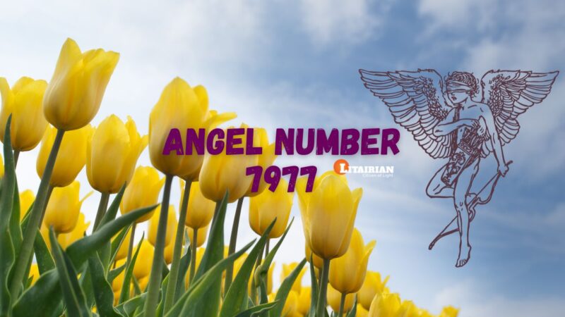 Angel Number 1177 Meaning Unlocking Divine Guidance and Manifestation ...