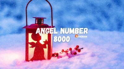 Angel Number 7888 The Path of Discipline, Determination, and Divine ...