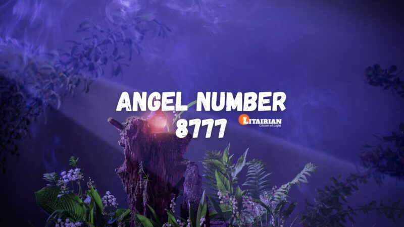 Angel Number 0303 Meaning A New Life Path of Love, Faith, and Spiritual ...