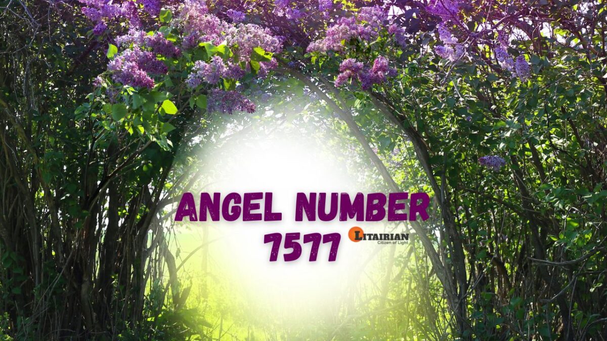 Angel Number 0220 Meaning Cooperation, Discipline, and Resilience ...