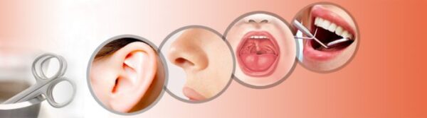 ENT Serum- For Issues Related to Ears Nose Throat & Lungs