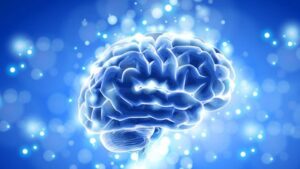 Brain Serum {BNS) to Ease Brain Related Issues (CS-24)