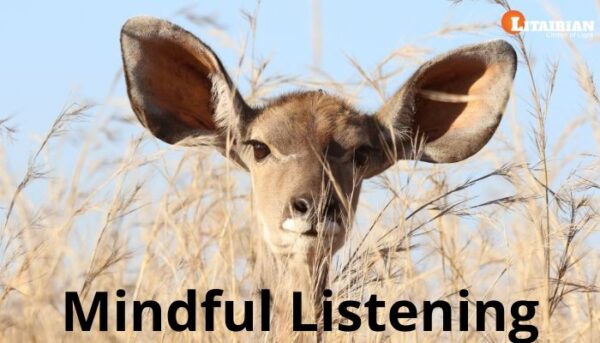 Benefits of 9 Skills of Mindfulness Practice - Litairian